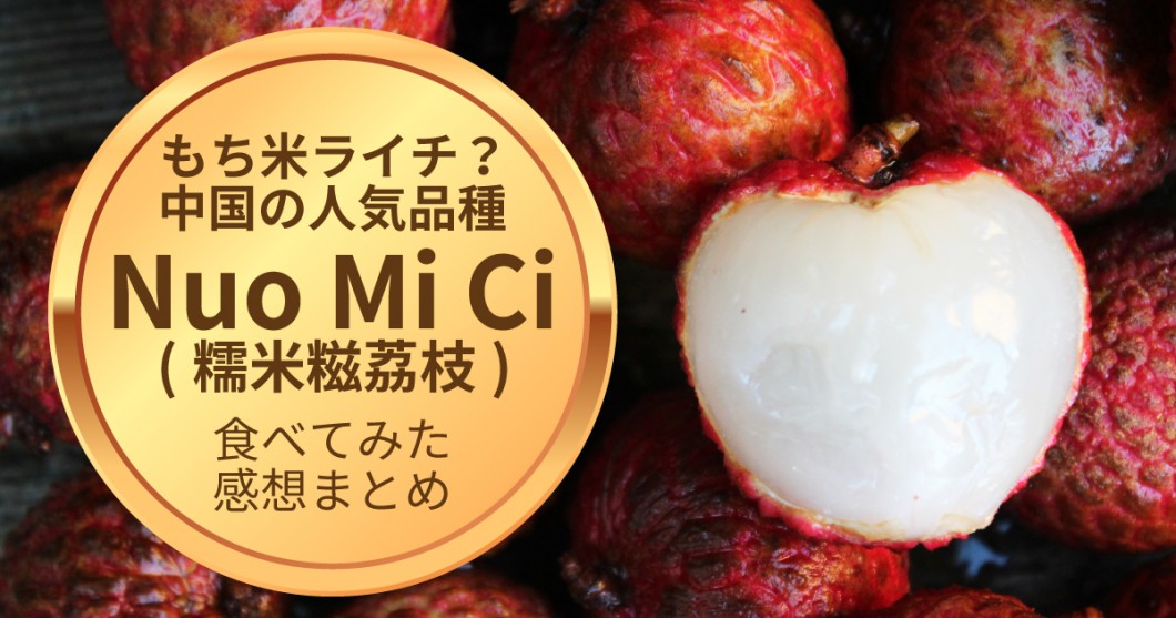 もち米ライチ？中国の品種 Nuo Mi Ci(糯米糍荔枝)まとめ。食べてみた感想も | 野菜ソムリエ Hiro のベジフルポケット