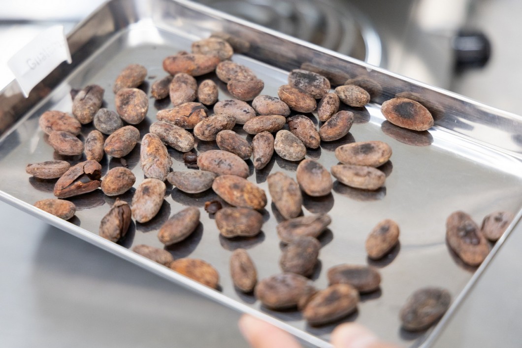 カカオ豆からチョコレートを作ってみた！Coconama Chocolateワークショップ | 野菜ソムリエ Hiro のベジフルポケット